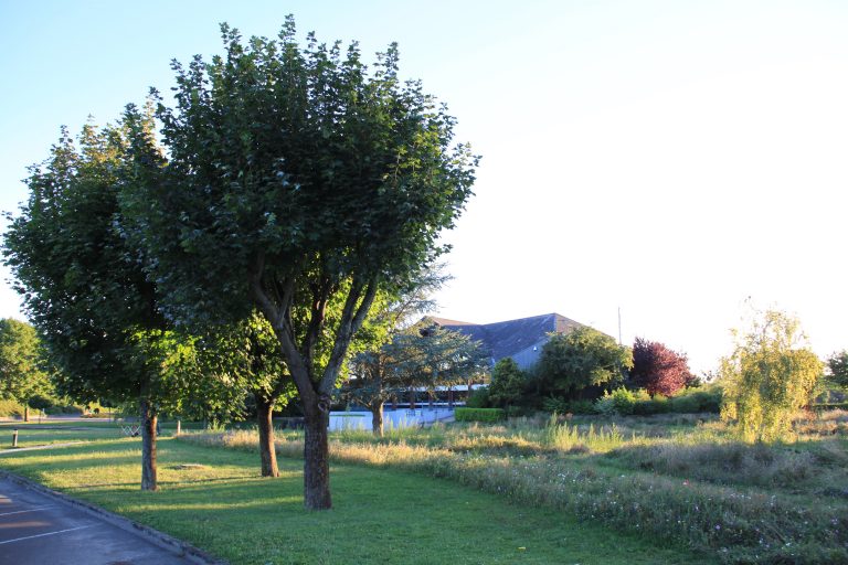 espace jean bouhey 3 - Ville de Longvic